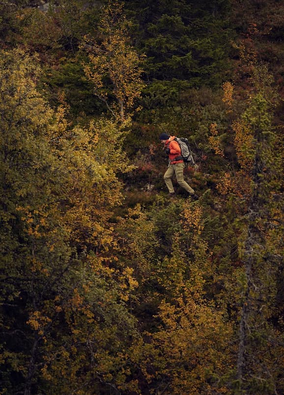 About Us - Cederquist